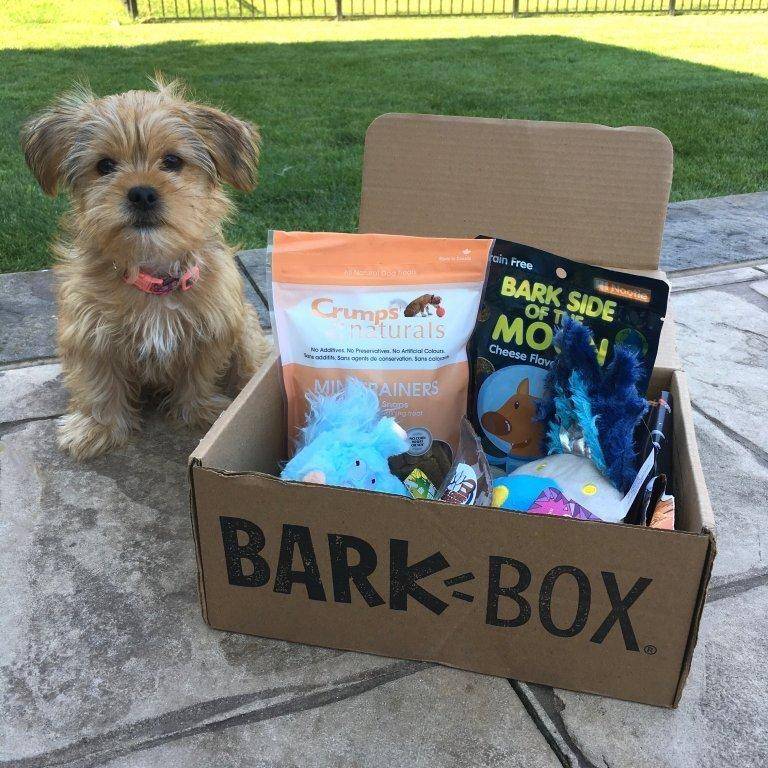 BarkBox Subscription Review + Coupon Code - August 2017 - Subscription ...