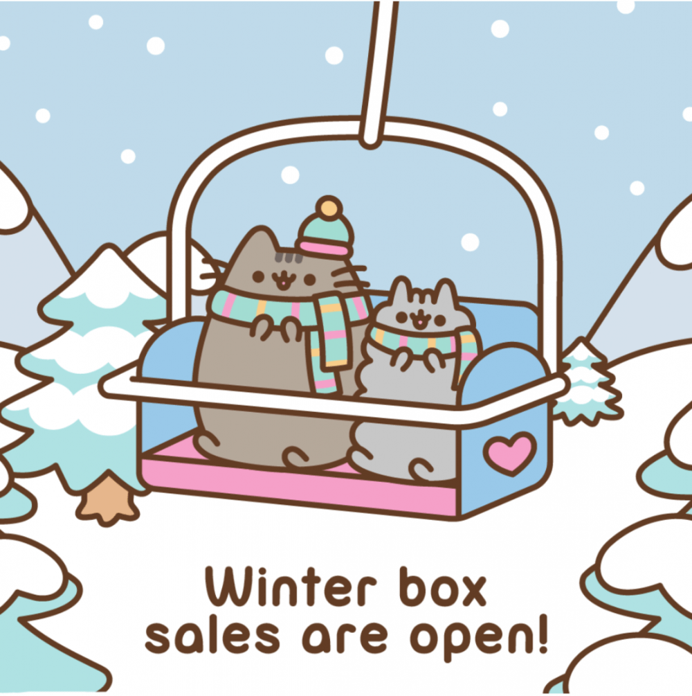 Pusheen Winter 2018 Box Spoiler #1 - Subscription Box Ramblings