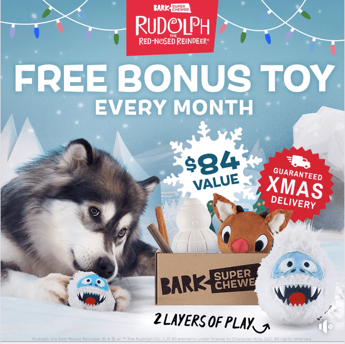 BarkBox Super Chewer Coupon Code Free Bonus Toy Every Month BarkBox Super Chewer Coupon Code Free Bonus Toy Every Month