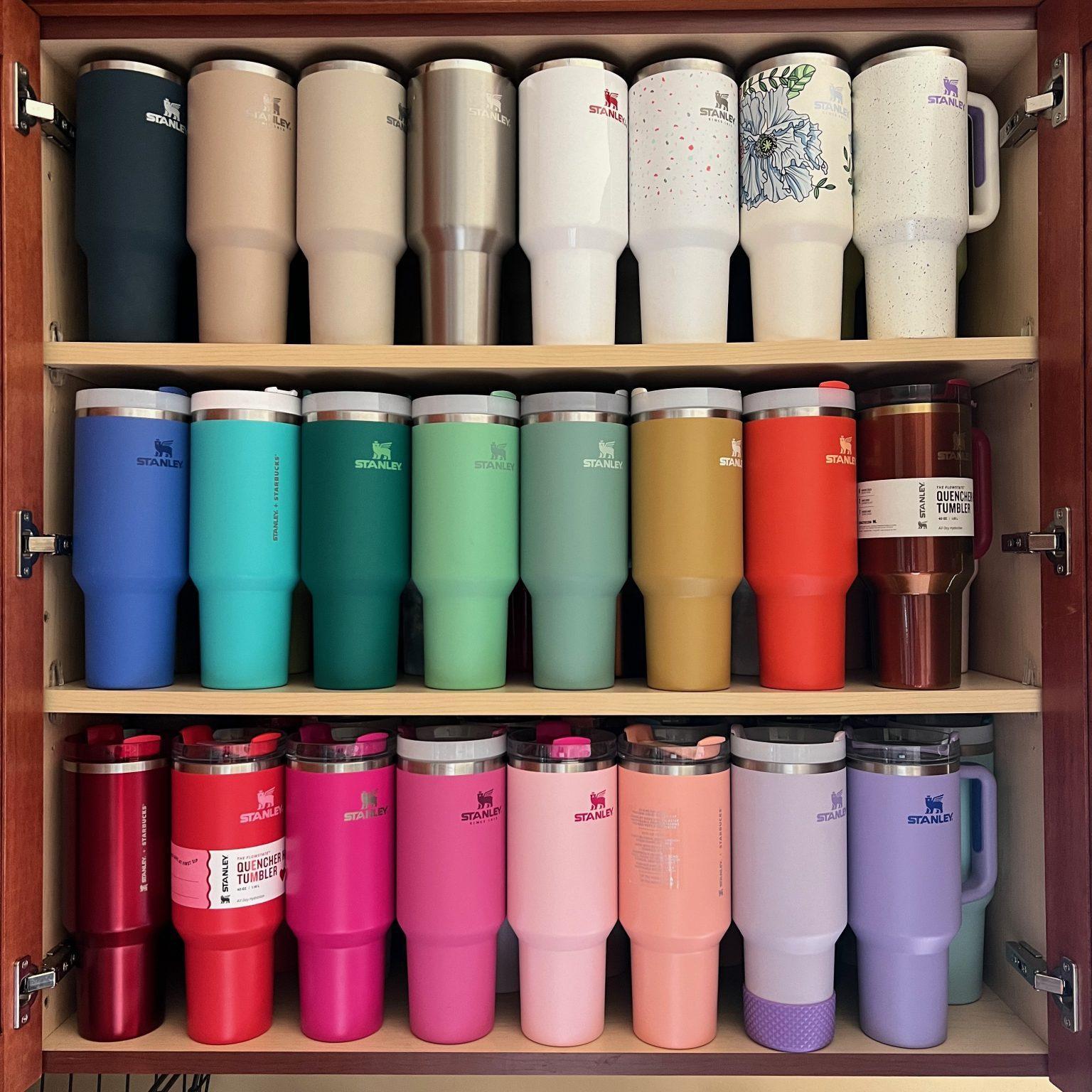 Stanley 40oz (and 30oz) Tumblers - What's Coming Soon (Stanley x Wicked ...