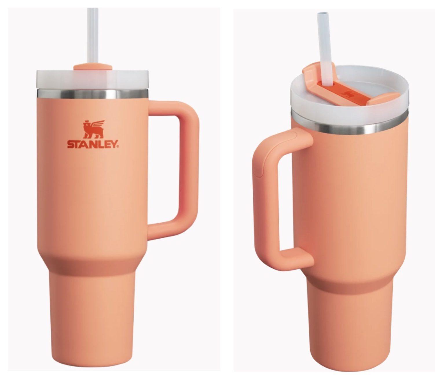 Nectarine Stanley 30oz and 40oz Tumblers - Coming 3/26! - Subscription ...